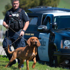 Entry Level Law Enforcement and Police Officer Jobs | FPD